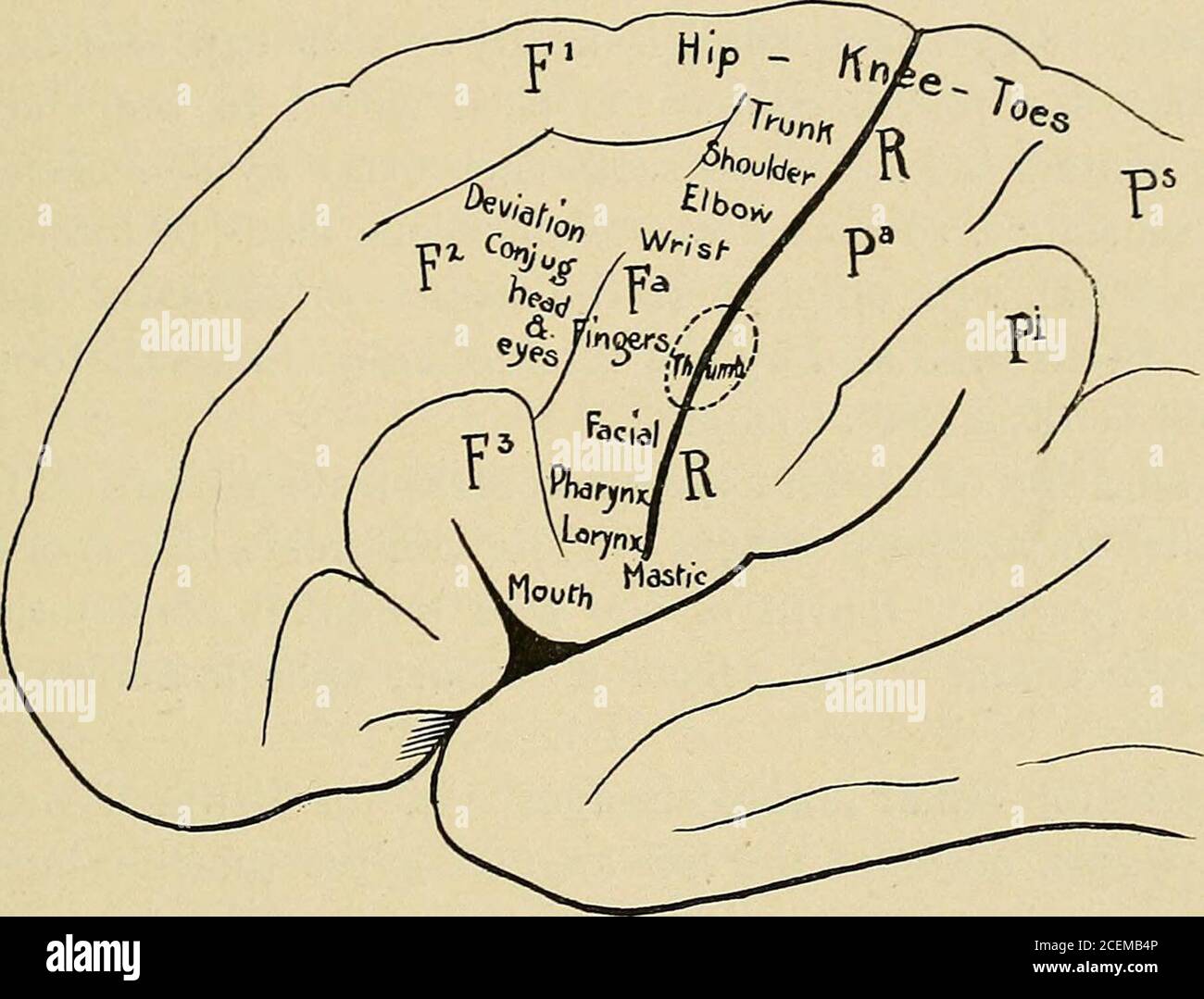 . Diseases of the nervous system : for the general practitioner and ...