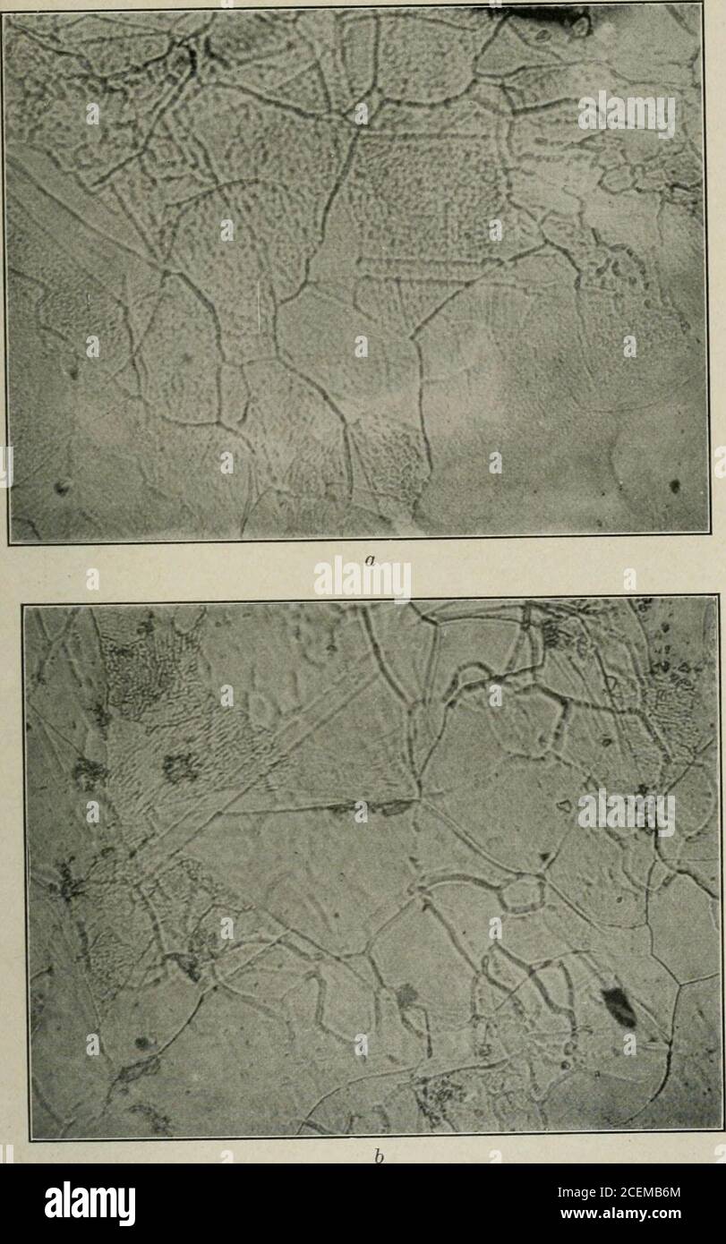 . Transactions. FlQ. 8.—MiCROSTRTJCTUKE OF LOW-CARBON STEEL JUST ABOVE ...