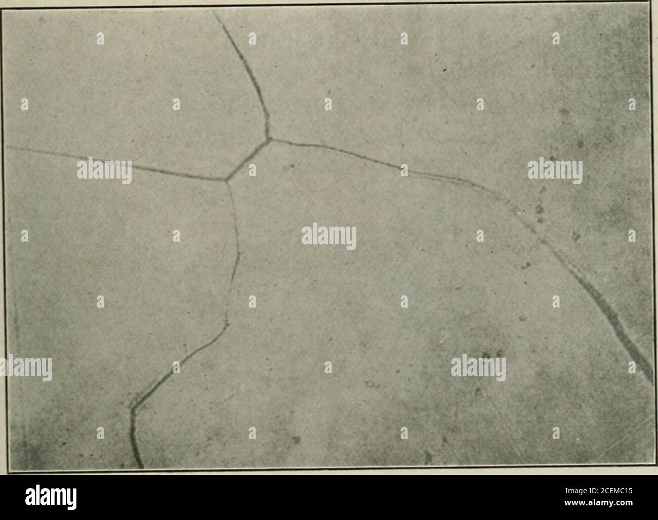 Pure Iron Microstructure