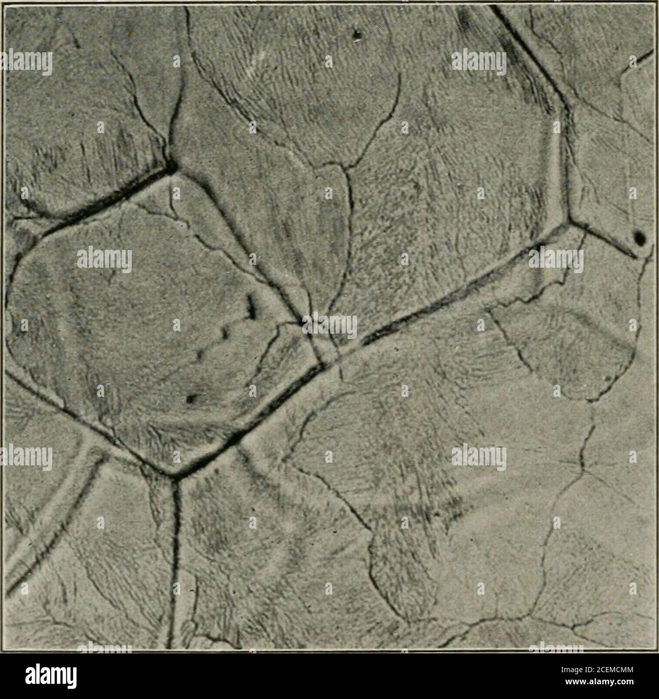 . Transactions. Fig. 13.—High-carbox steel vnetched showing polygonal ...