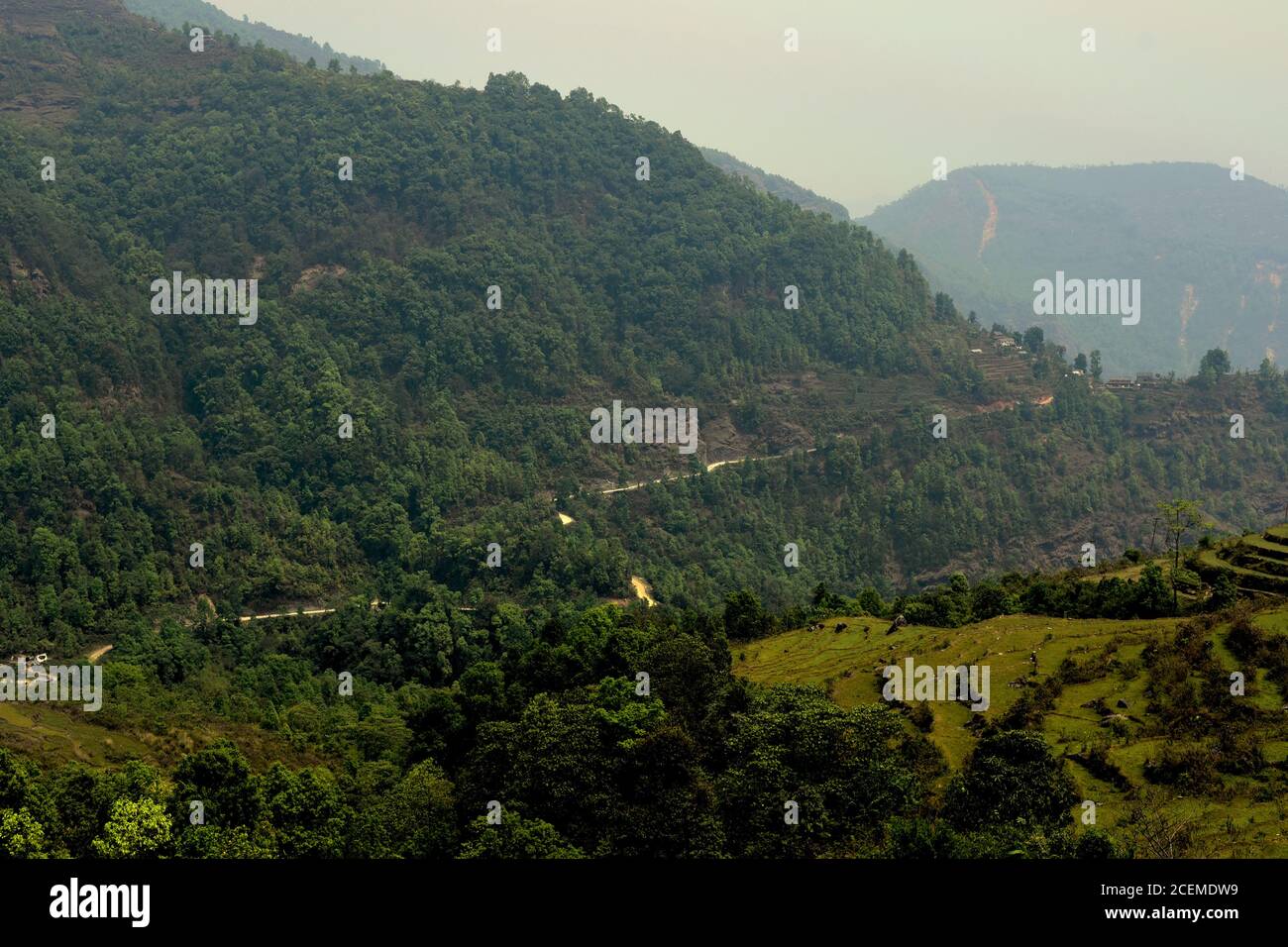 Hillside pathway and agricultural terrace on the slope of Panchase ...