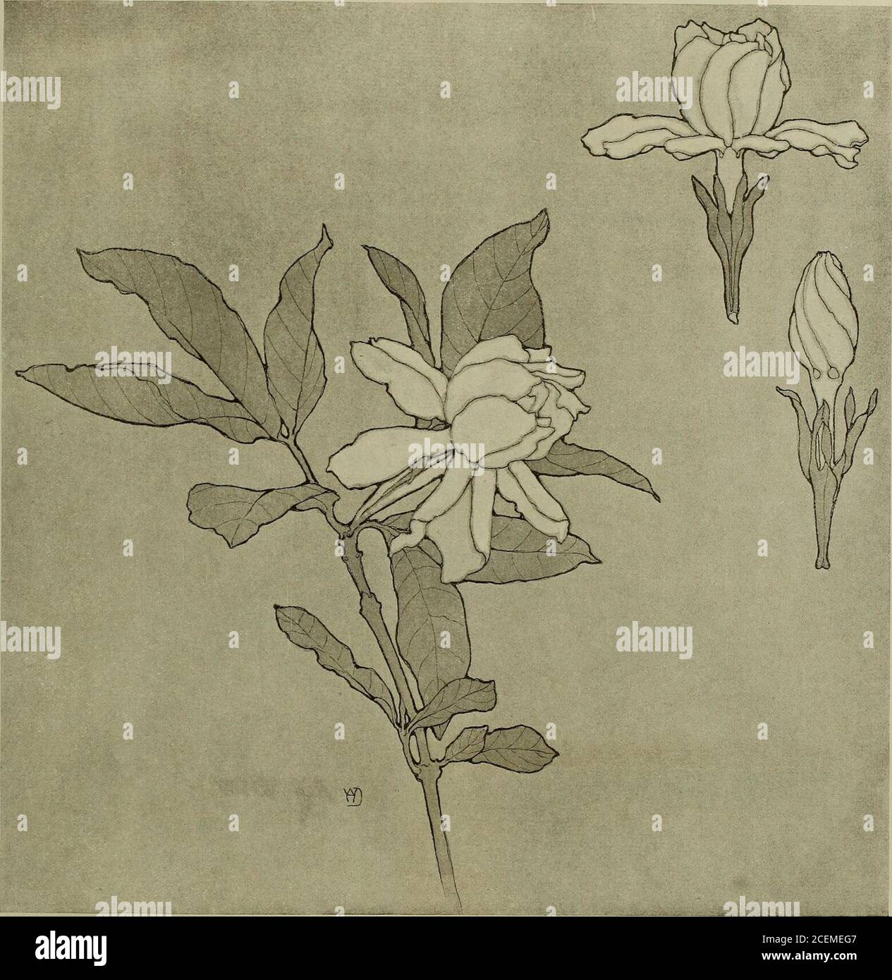 . Keramic studio. BOWL Mrs. E. E. Russell FIRST Fire—Outline in Roya ...