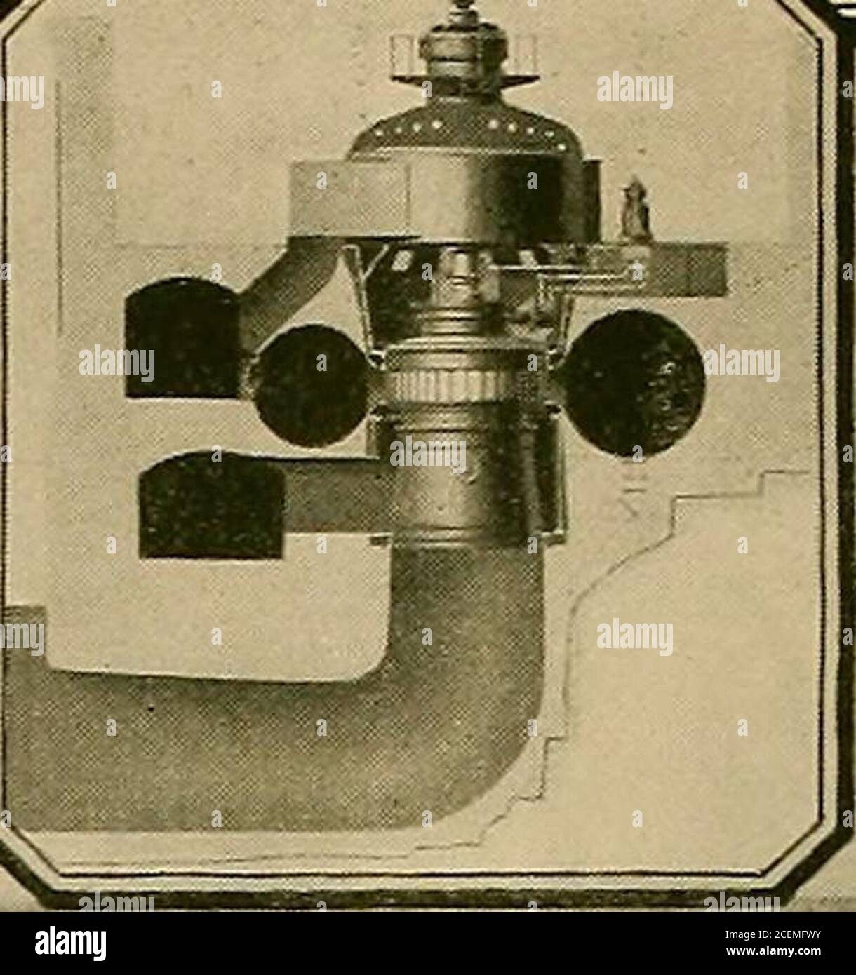 . Journal of electricity. CROSS SECTION OF POWER MOUSE Stock Photo - Alamy