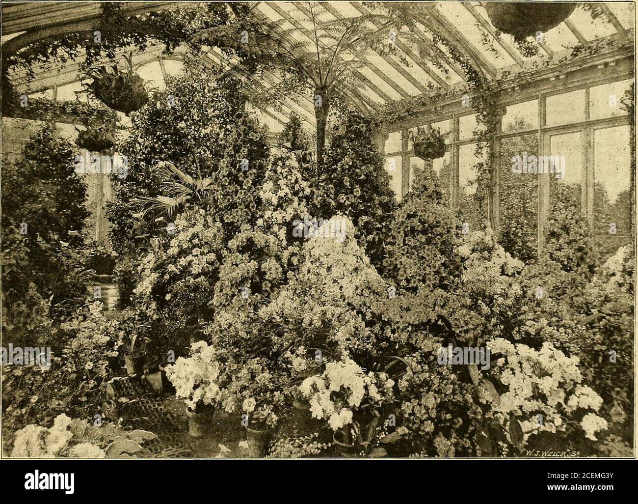 . The Gardeners' Chronicle : a weekly illustrated journal of ...