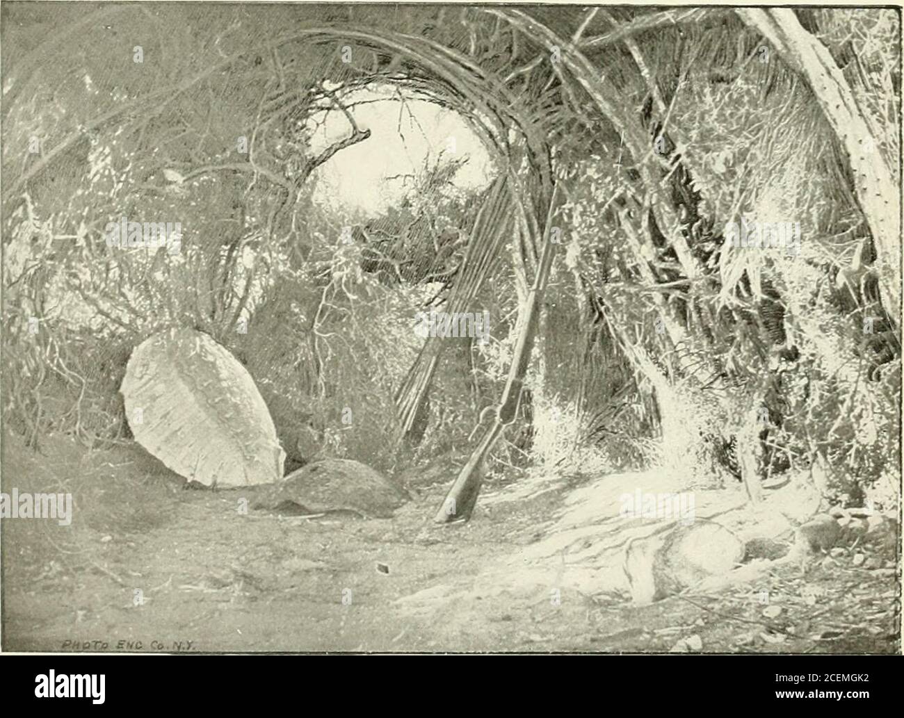 Seri tribe hi-res stock photography and images - Alamy