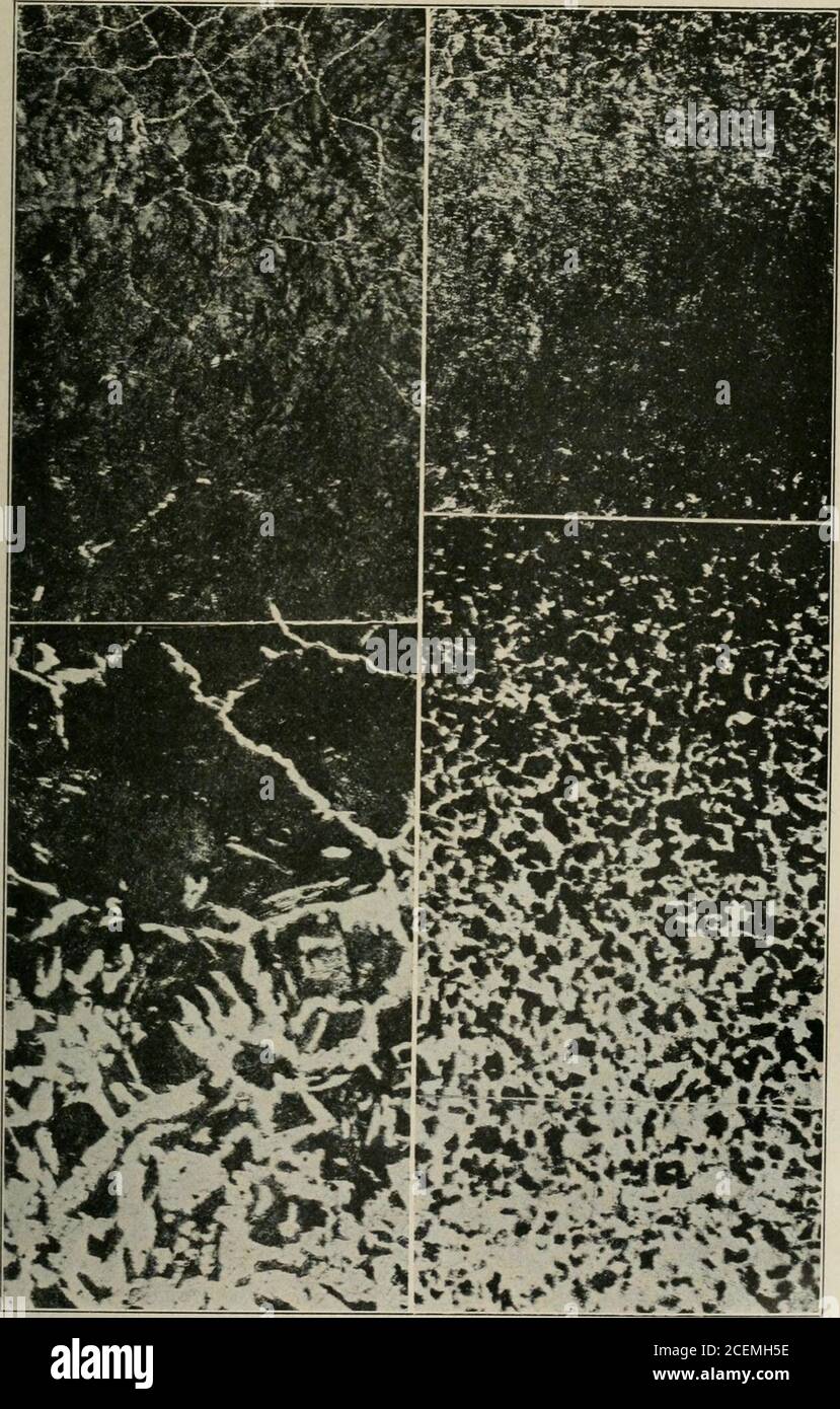 . Transactions. rburizing pot.In Fig. 4, the pearlite of the hj ...