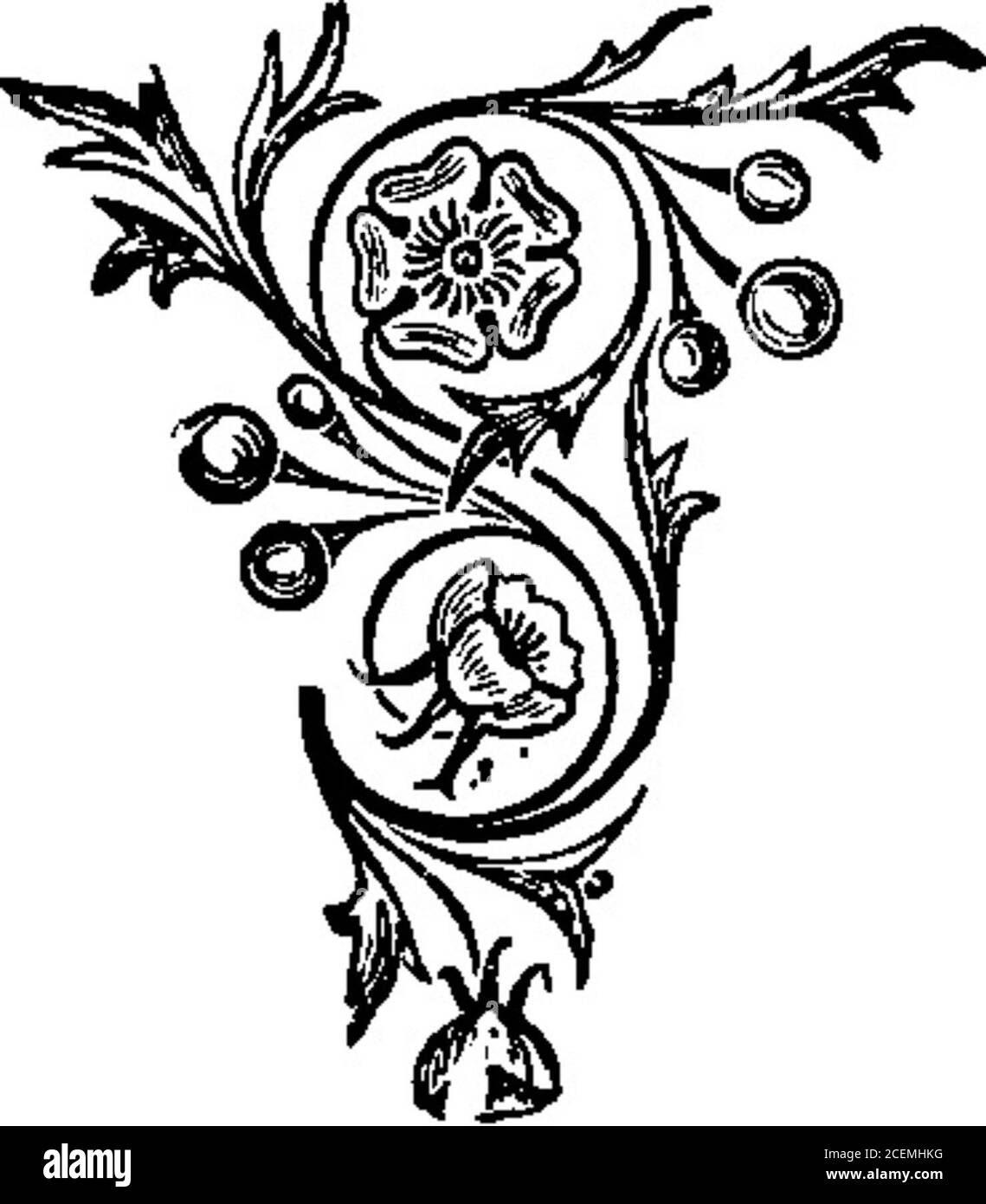 Man shock snake hi-res stock photography and images - Alamy