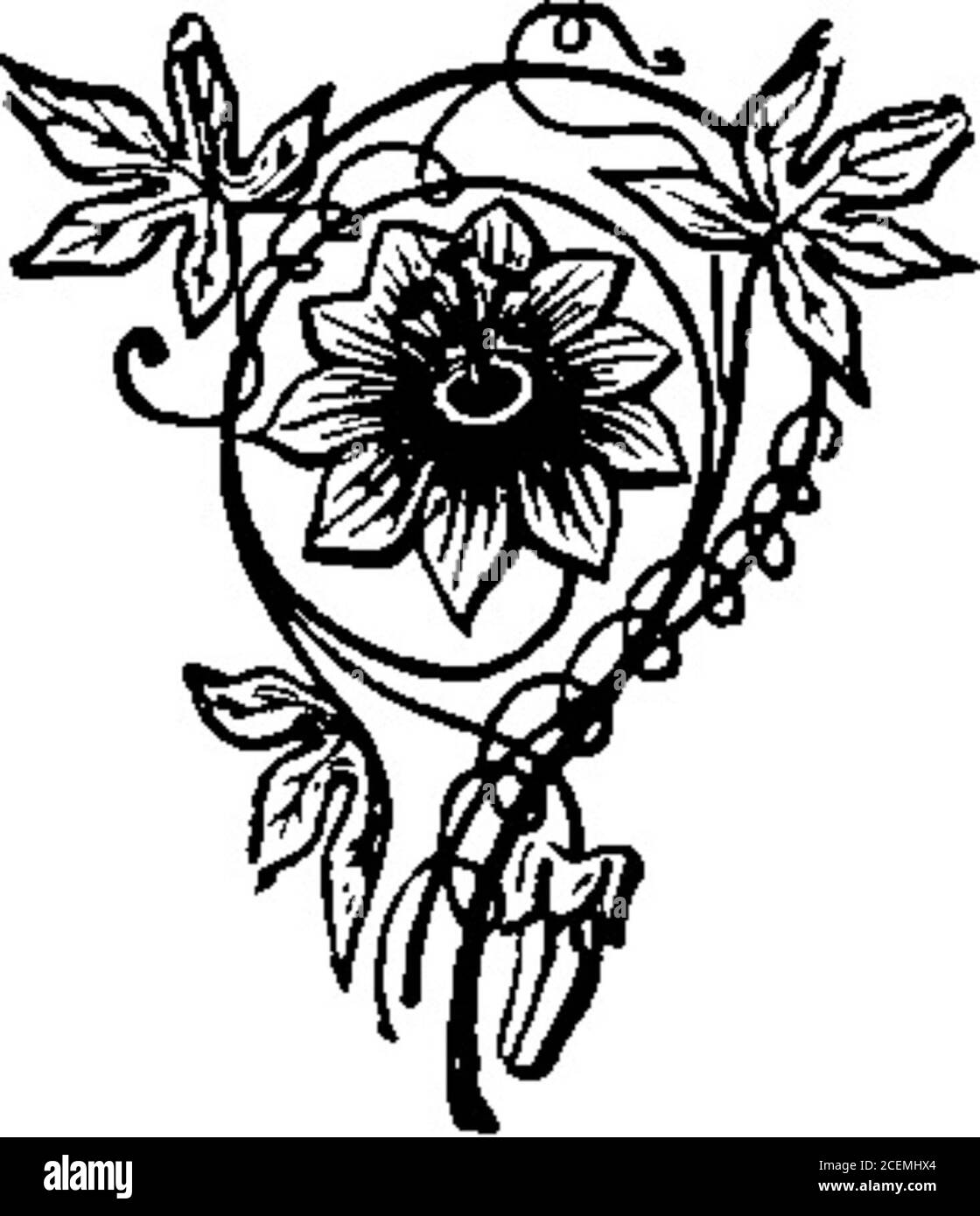 . Barbara Philpot (Volume 3): a study of manners and morals (1727 to ...