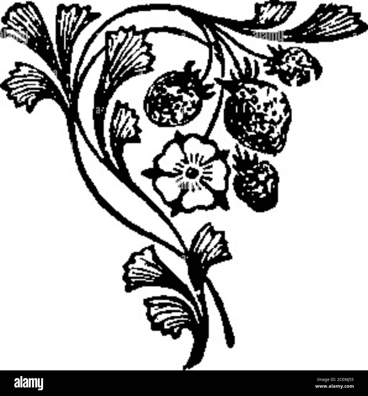 Self Image Clipart Wave