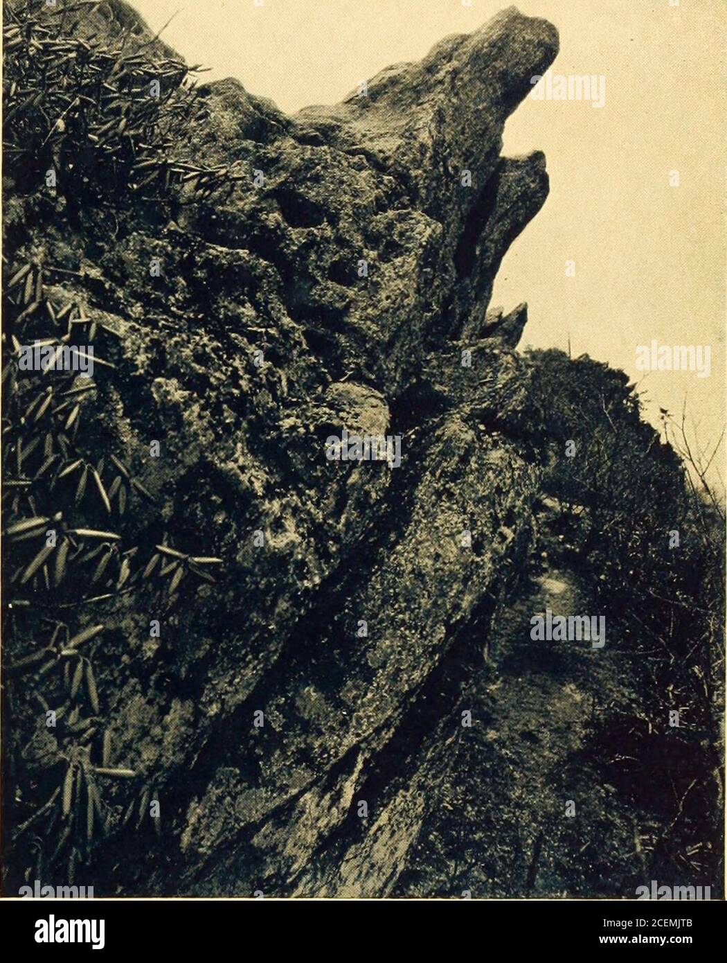 Detweiler park hi-res stock photography and images - Alamy