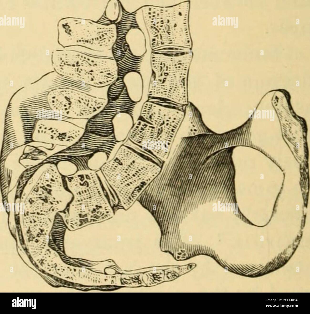 Childslife hi-res stock photography and images - Alamy