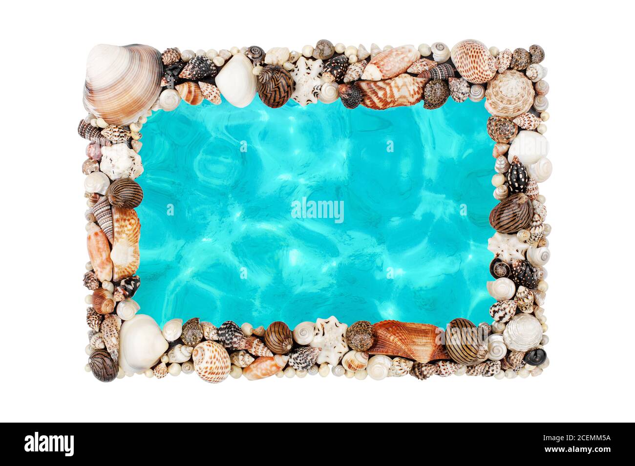 Seashells, blue ocean water frame white background isolated close up ...