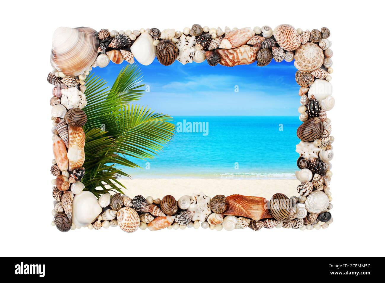 Seashells photo frame white background isolated closeup, sea shells ...