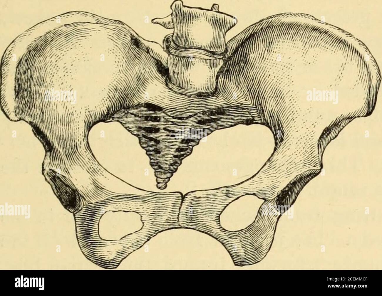 . The science and art of midwifery. same reductionneeds to be made as ...