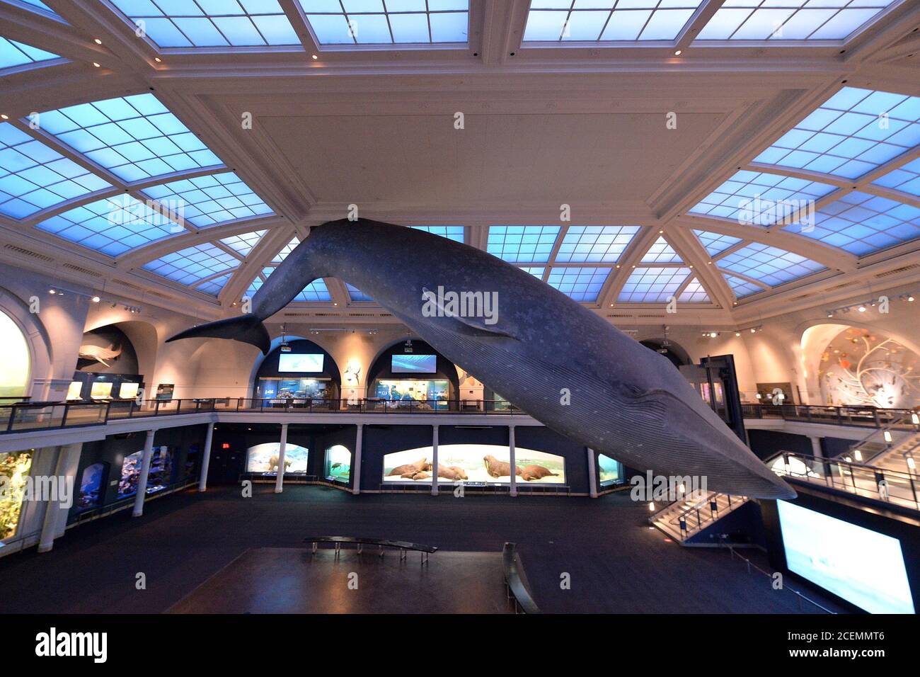 94 feet hi-res stock photography and images - Alamy