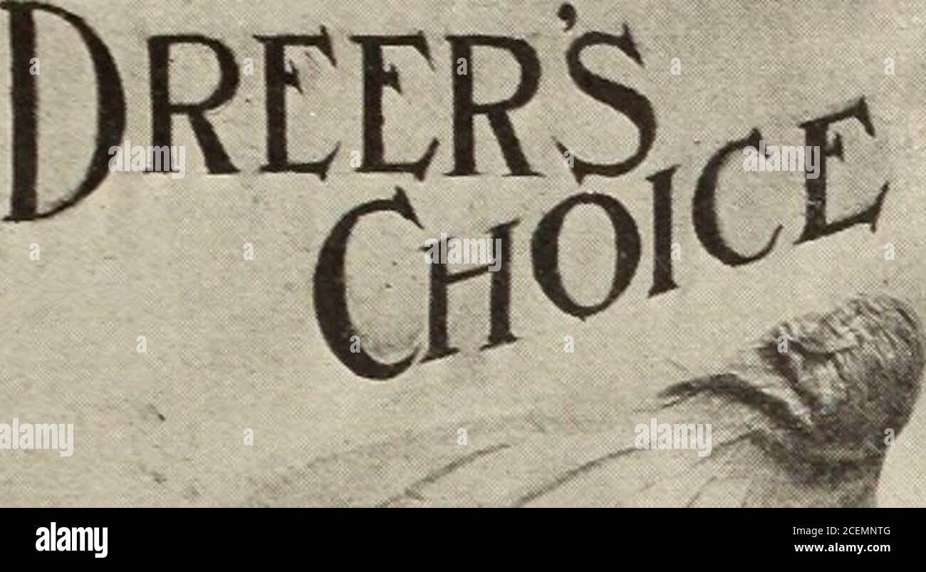 Gypsy stick hi-res stock photography and images - Alamy