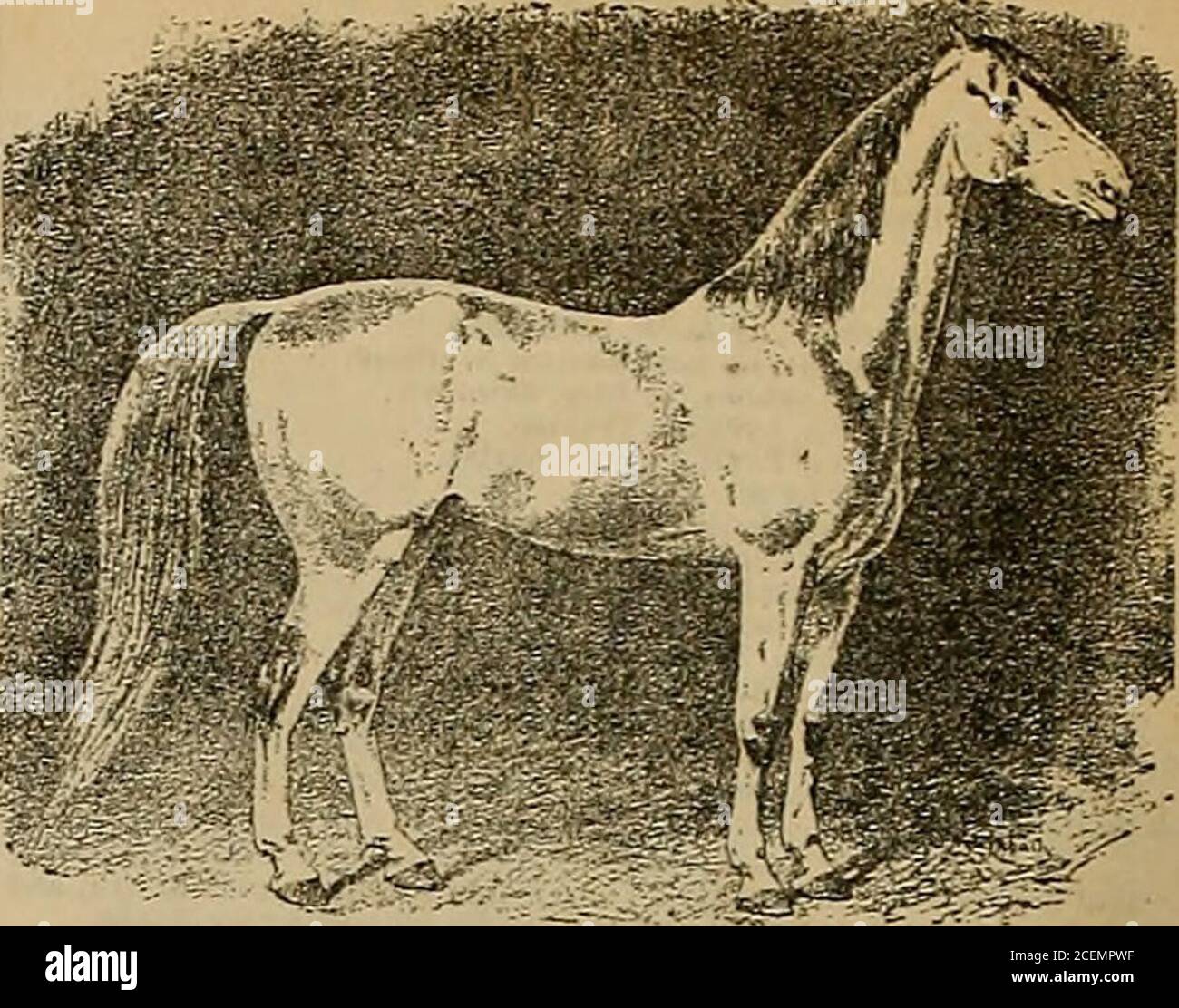 Sire jackson hi-res stock photography and images - Alamy