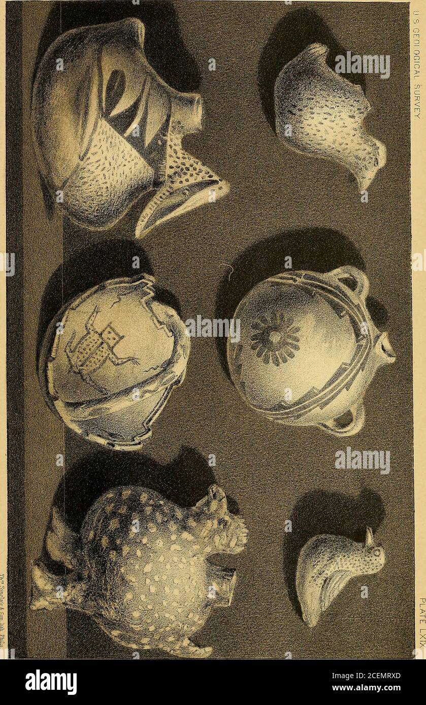 . Annual report. 1st-12th, 1867-1878 Stock Photo - Alamy