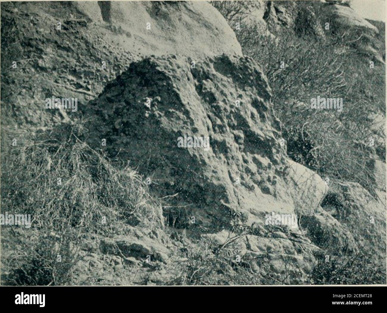 Piru creek hi-res stock photography and images - Alamy