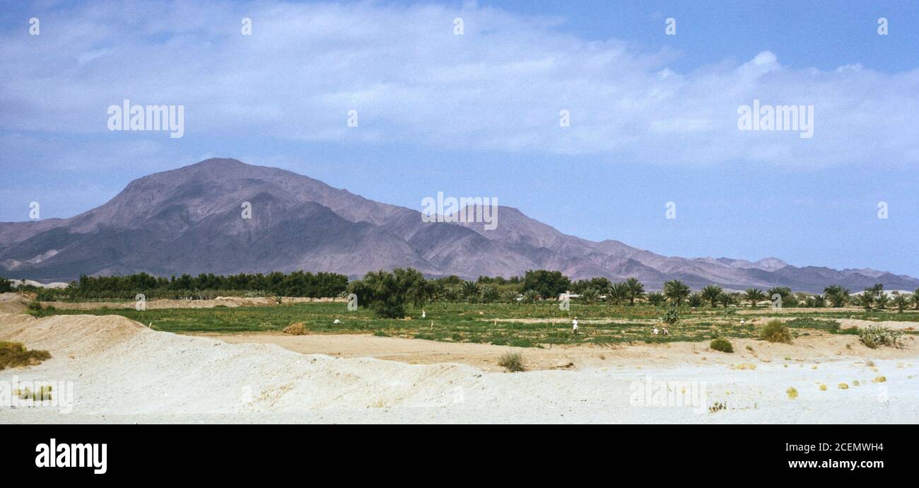 Wadi fatma hi-res stock photography and images - Alamy