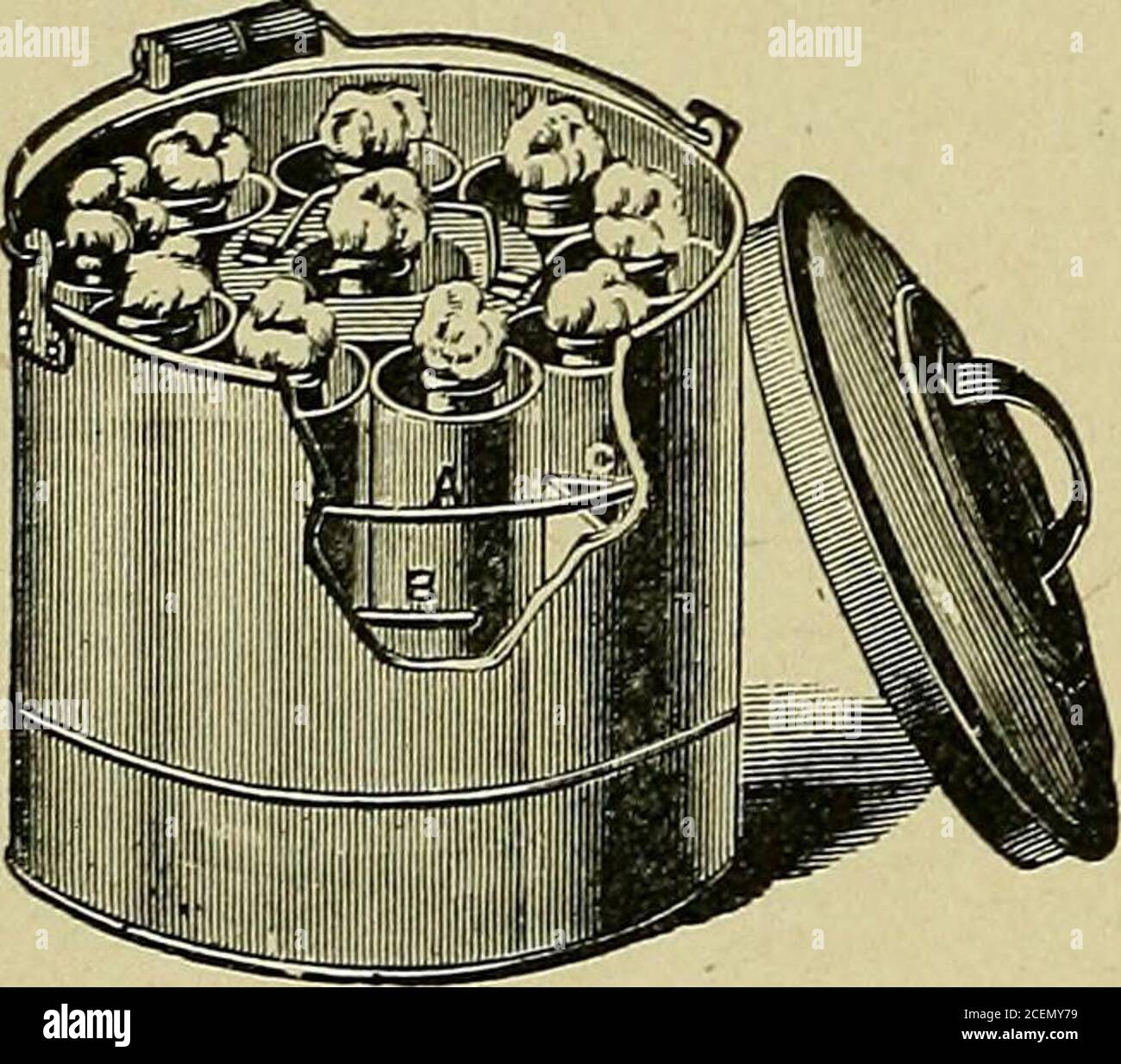 Putrefactive bacteria hi-res stock photography and images - Alamy