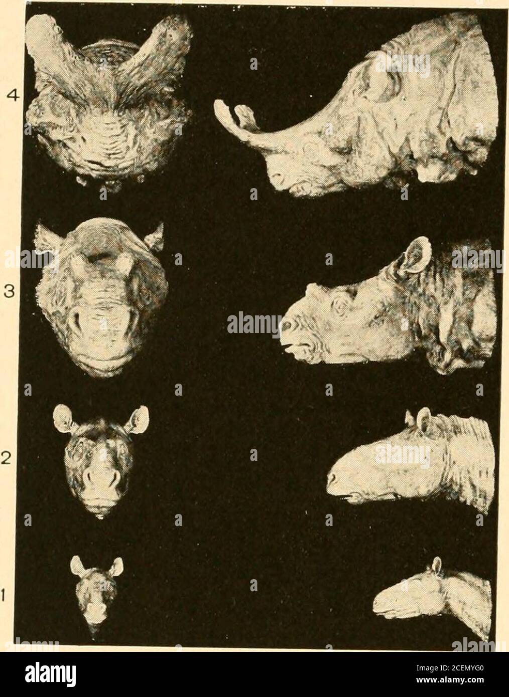 . The origin and evolution of life, on the theory of action, reaction ...