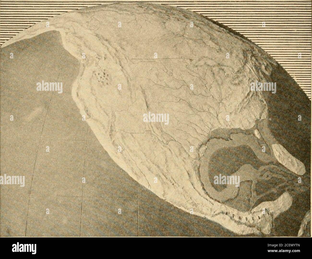 Oligocene time hi-res stock photography and images - Alamy