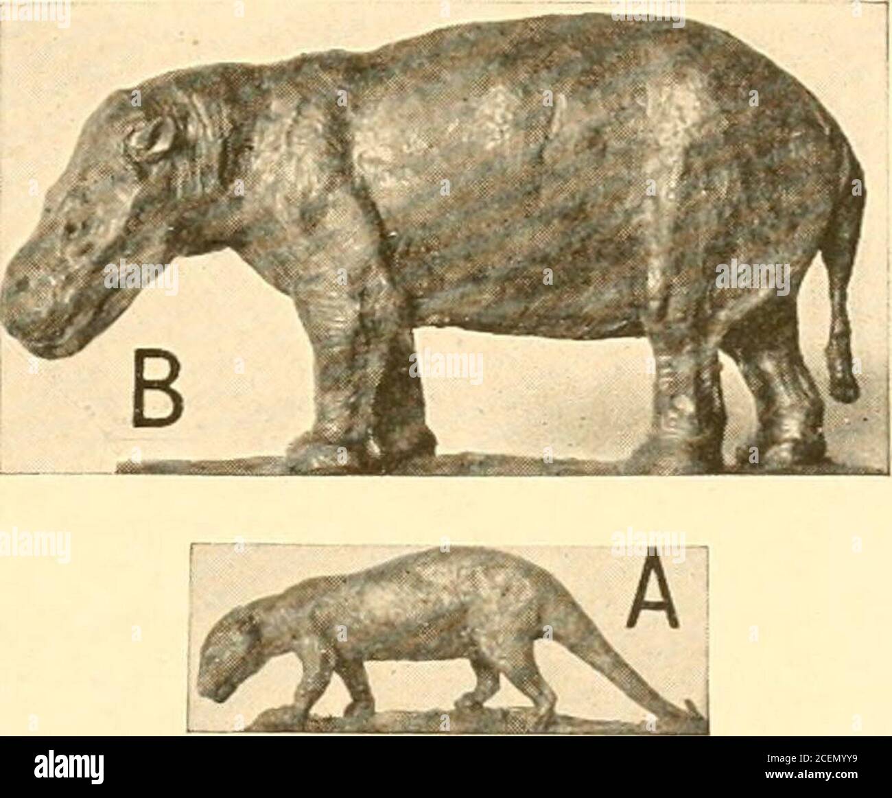 Charles knight mural hi-res stock photography and images - Alamy