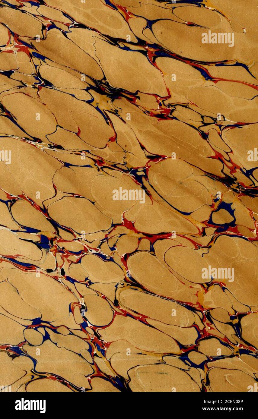 Charleston rev anthony thompson hi-res stock photography and images - Alamy