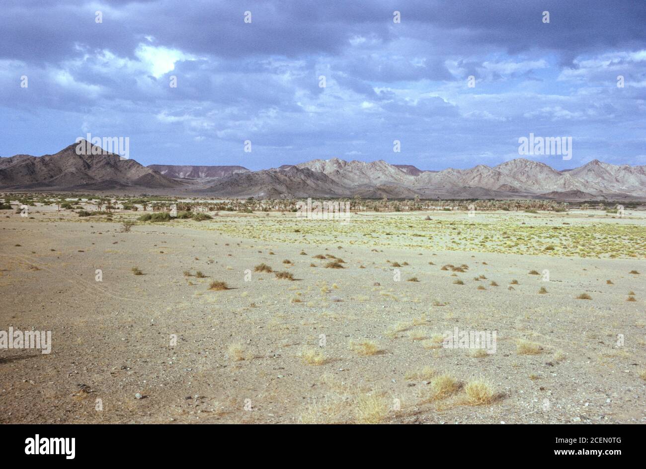 Usfan, Hejaz, Saudi Arabia. Arid Hejazi Desert Terrain and Vegetation ...