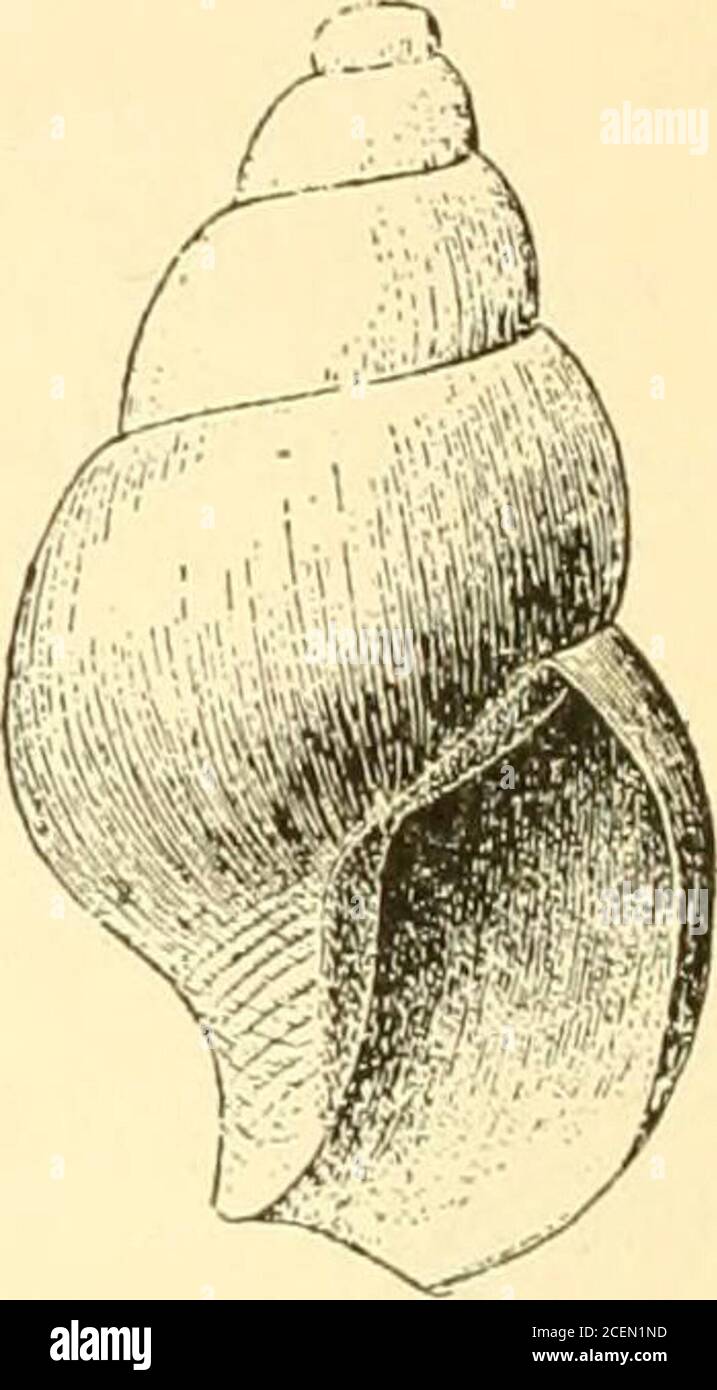 Cp ries hi-res stock photography and images - Alamy