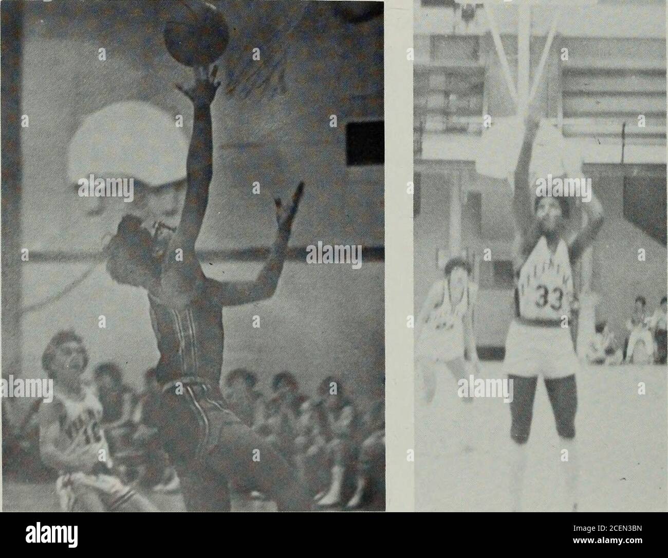 Chien parker hi-res stock photography and images - Alamy