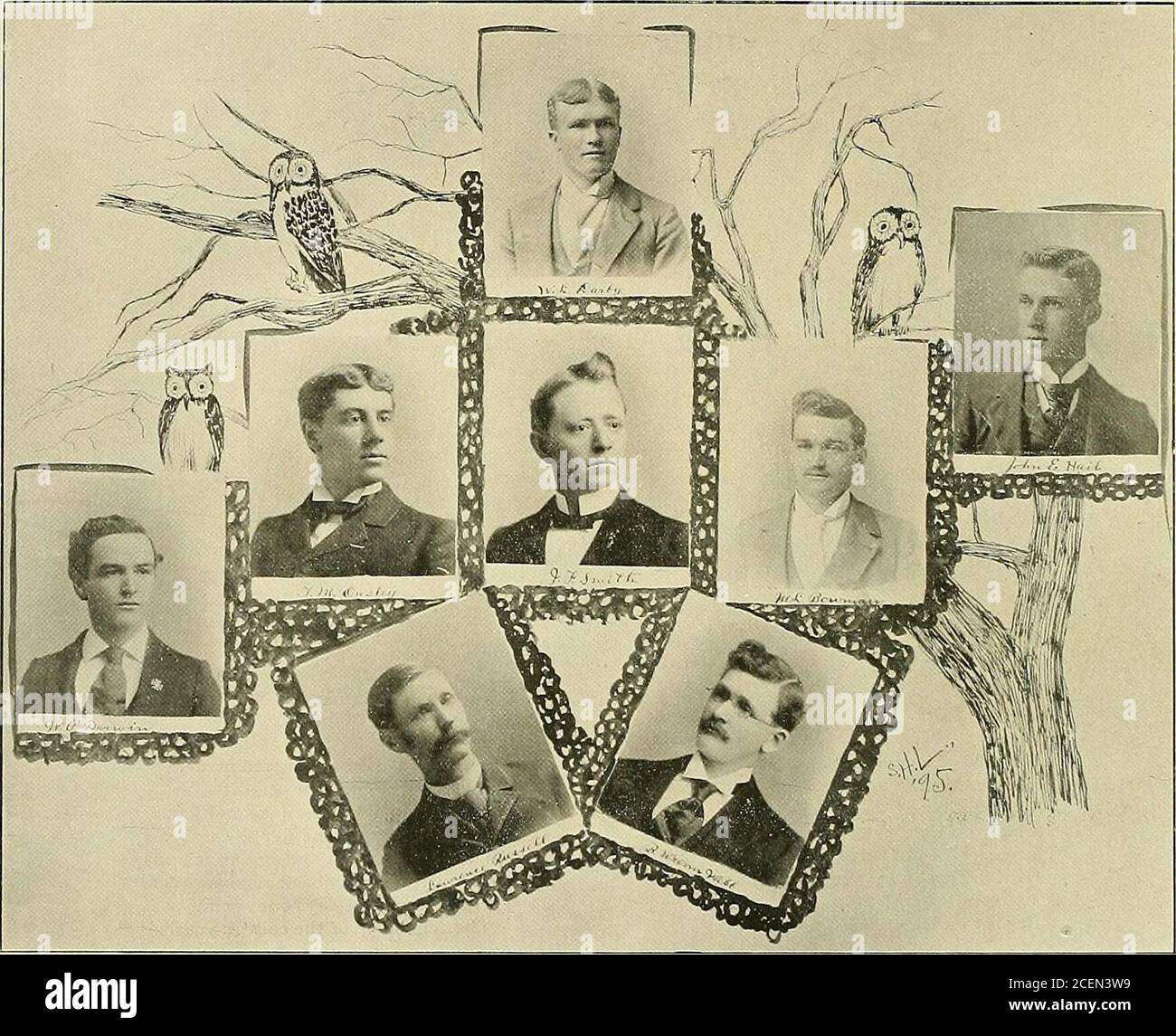 . The Phoenix. Tho bird of 1 fan Existing- in the ages gone,Thou, for ...