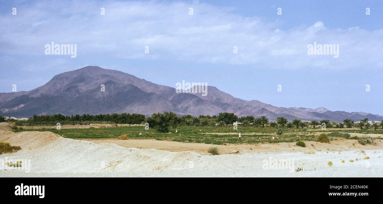 Wadi fatma hi-res stock photography and images - Alamy