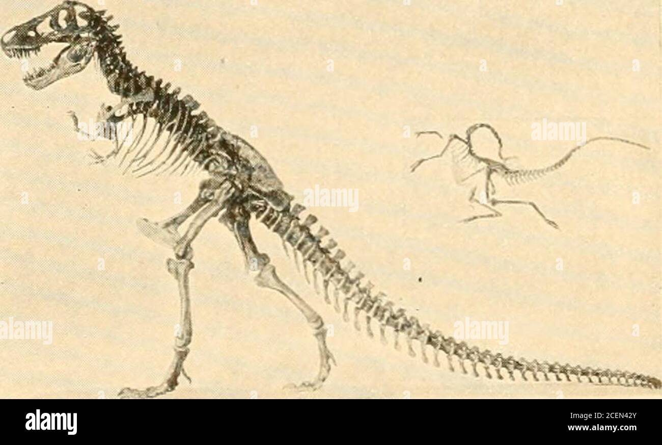 . The origin and evolution of life, on the theory of action, reaction ...