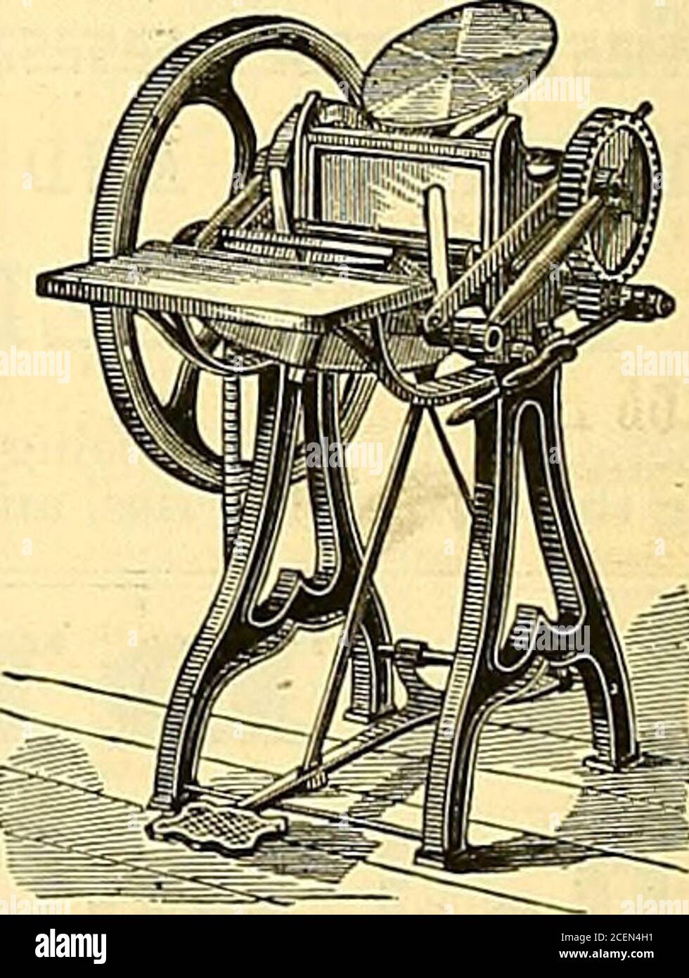 Sterns form hi-res stock photography and images - Alamy