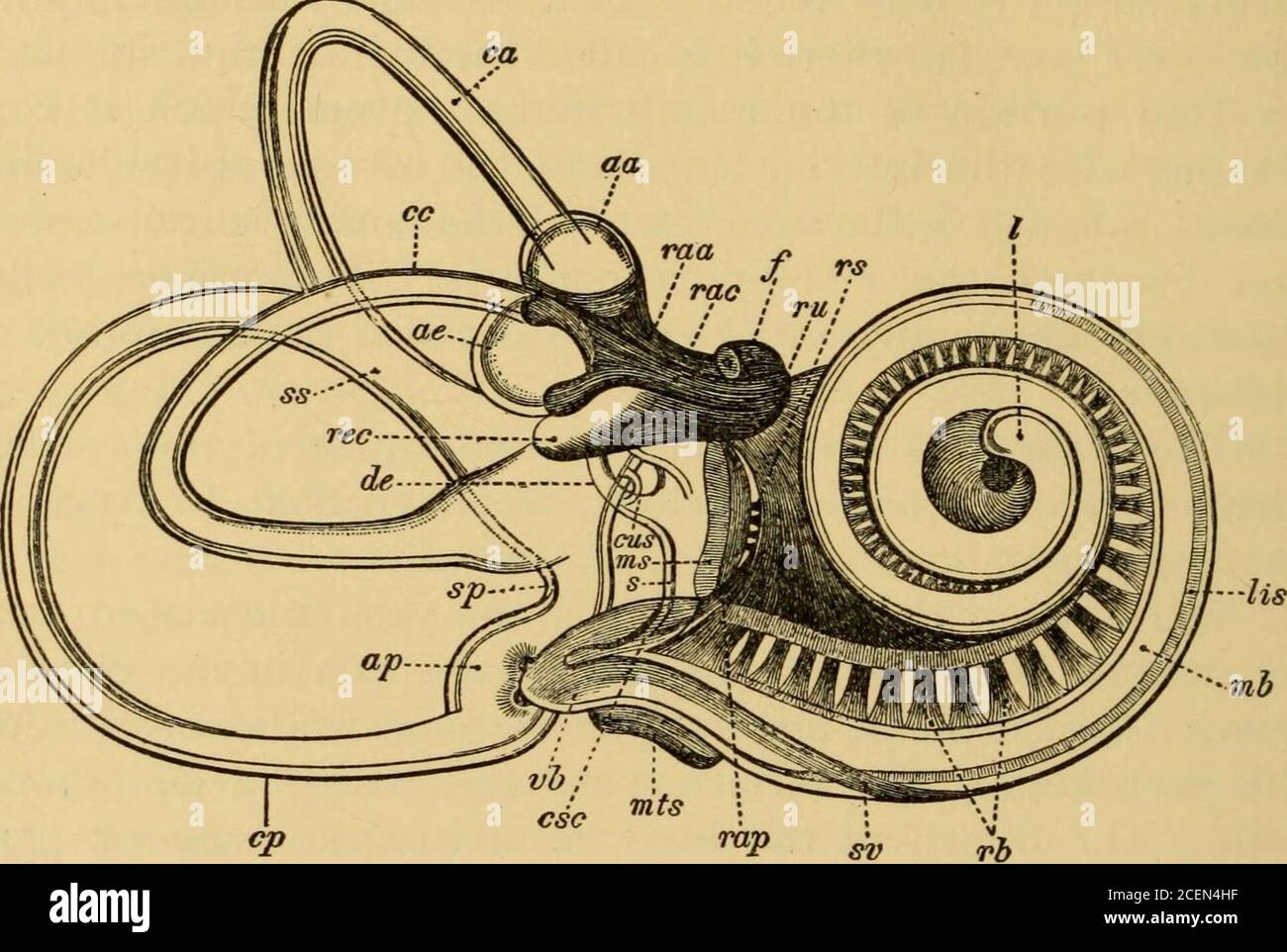 Narrowcanal hi-res stock photography and images - Alamy