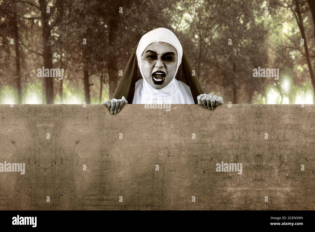 Scary Devil Nun Holding Empty Whiteboard With Haunted Forest Background Empty Whiteboard For