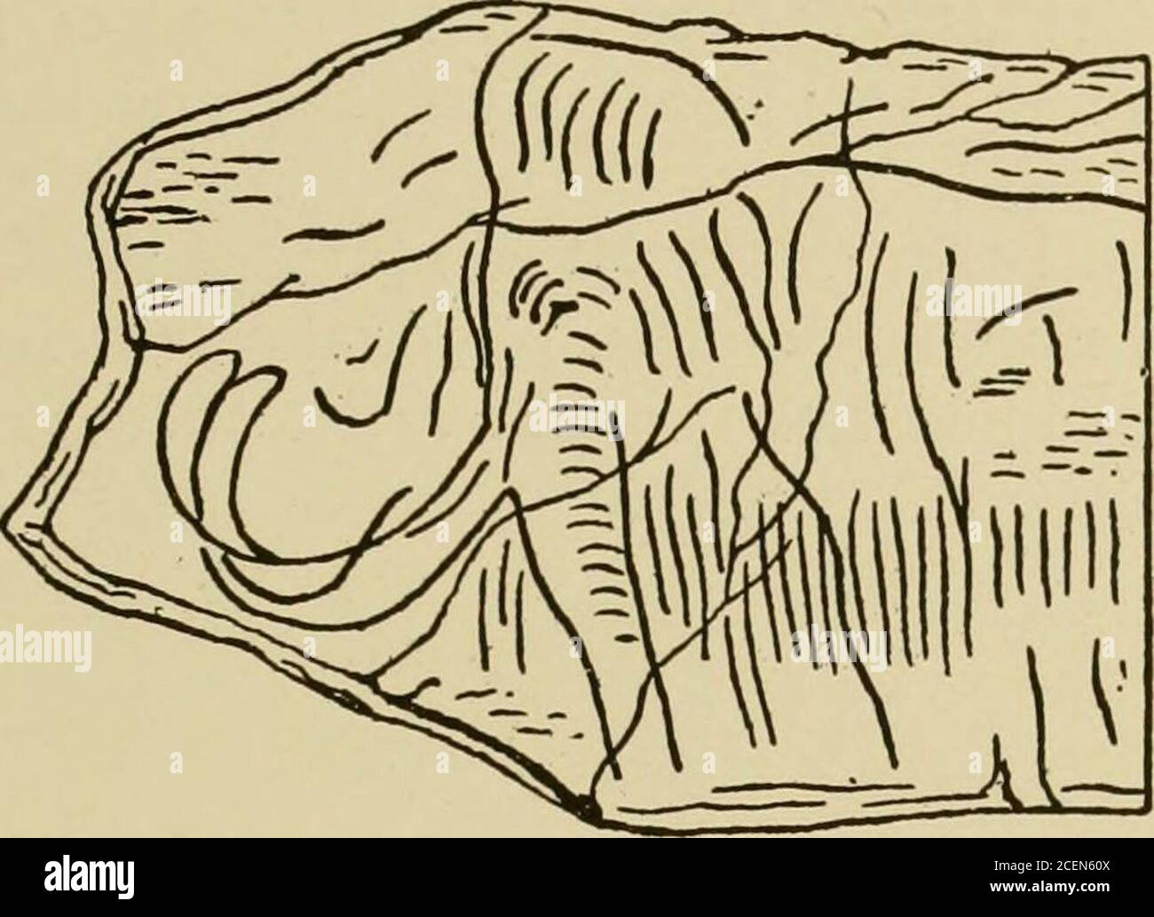 Van Drawing Perspective