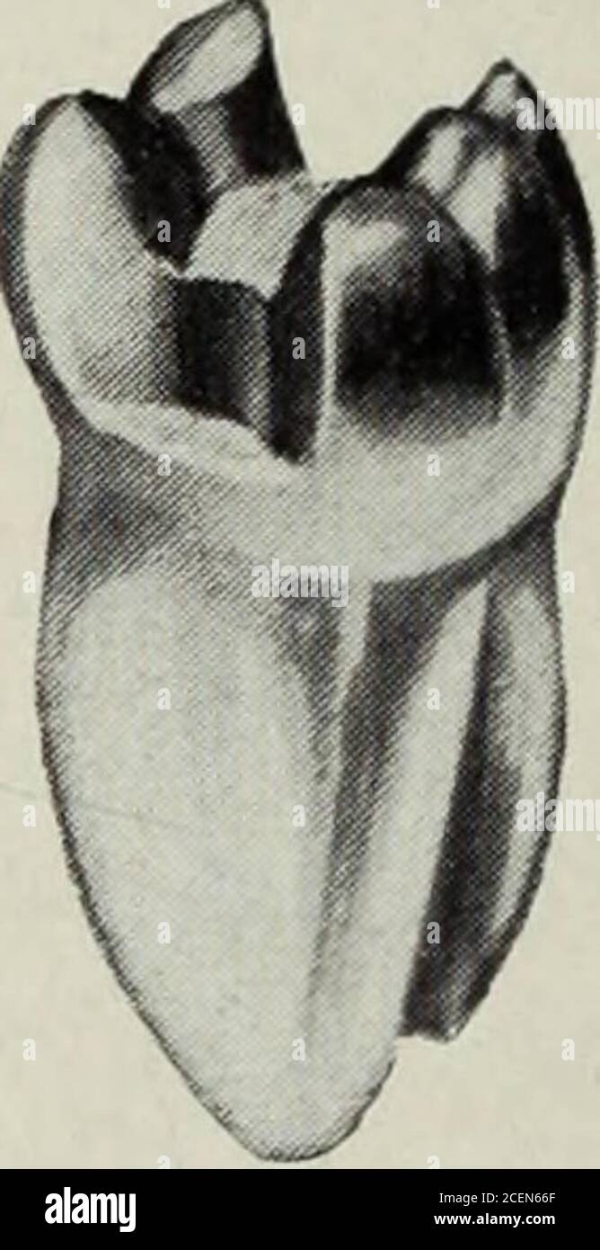 . The Dental cosmos. Fig. 14. Fig. 10. Fig. 17 Stock Photo - Alamy