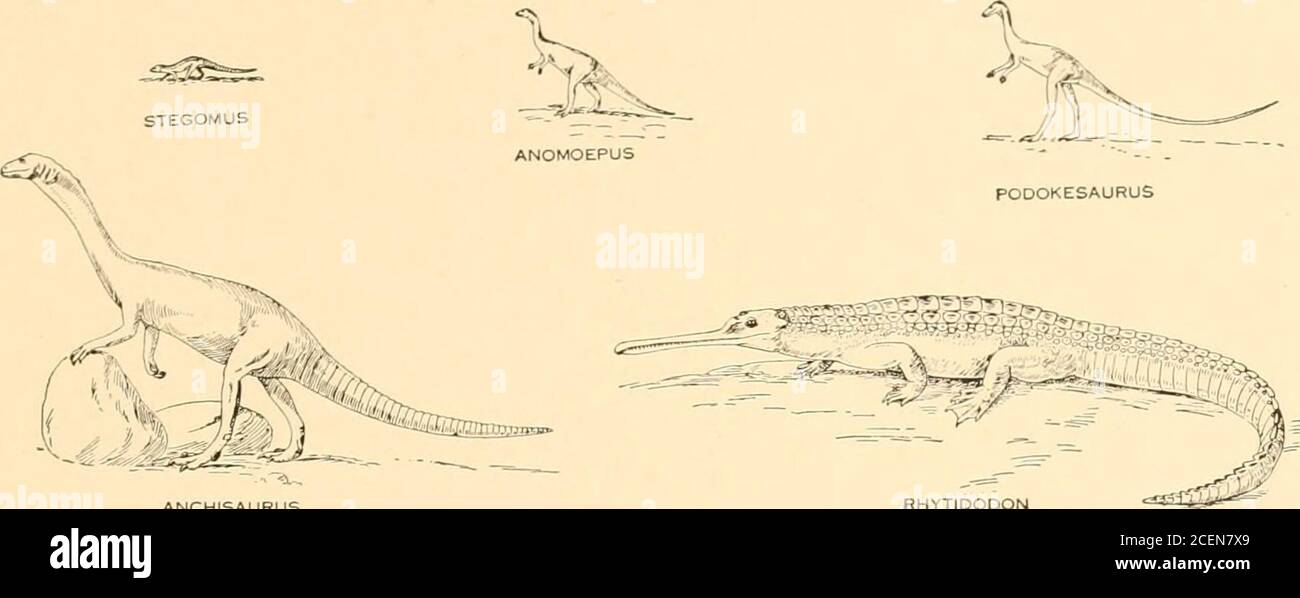 . The origin and evolution of life, on the theory of action, reaction ...