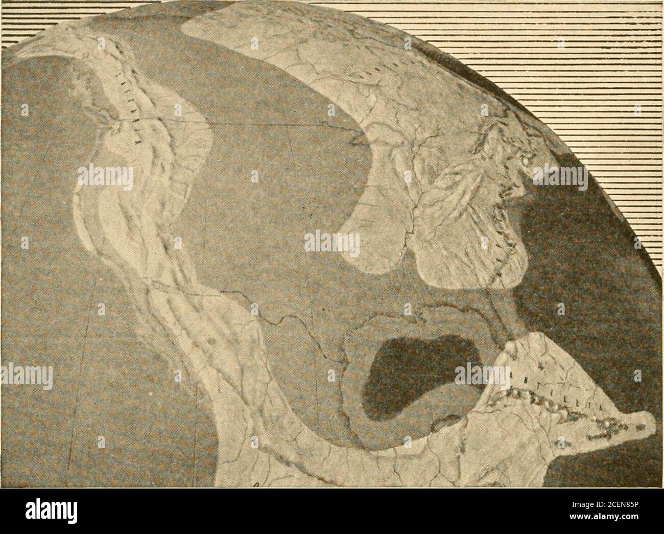 Cretaceous oceans hi-res stock photography and images - Alamy