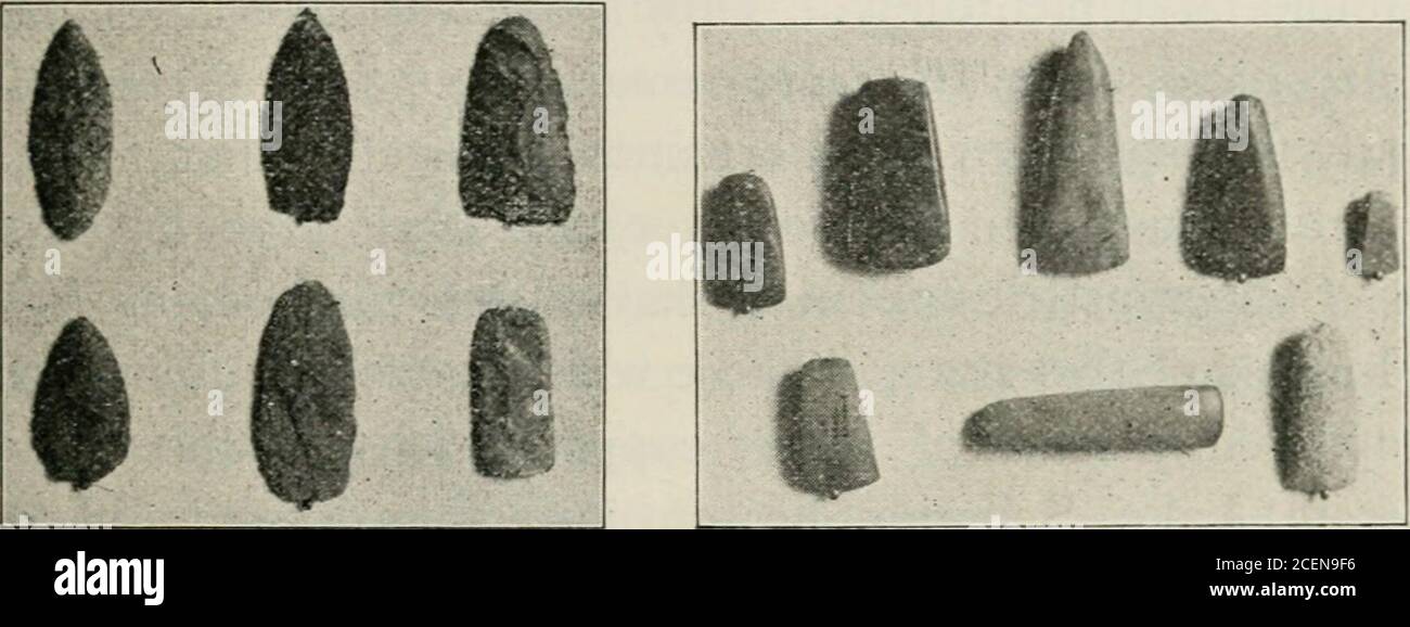 . A history of Vermont, with the state constitution, geological and ...