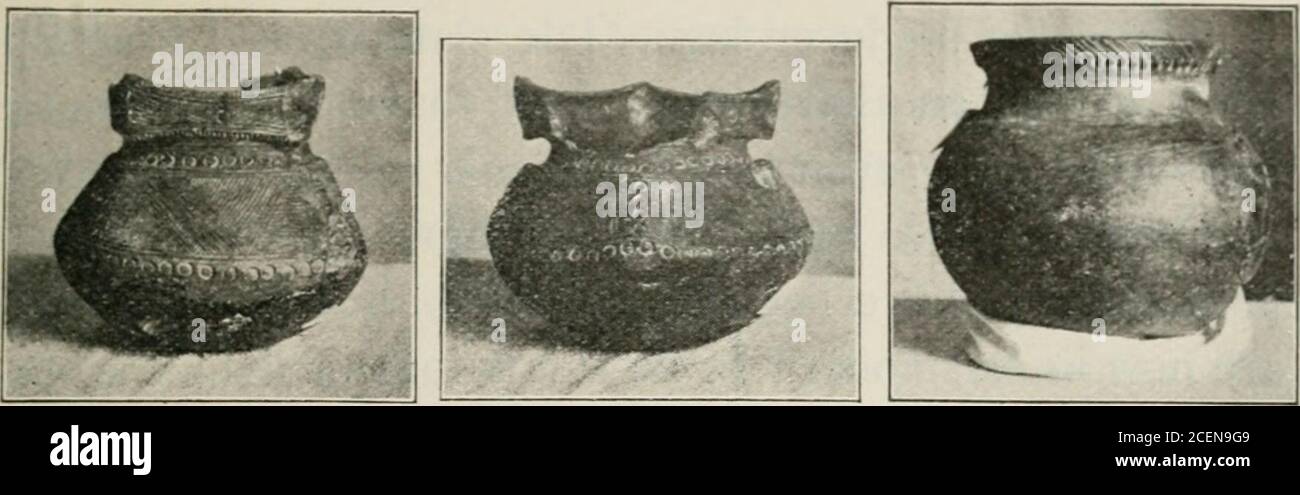 . A history of Vermont, with the state constitution, geological and ...