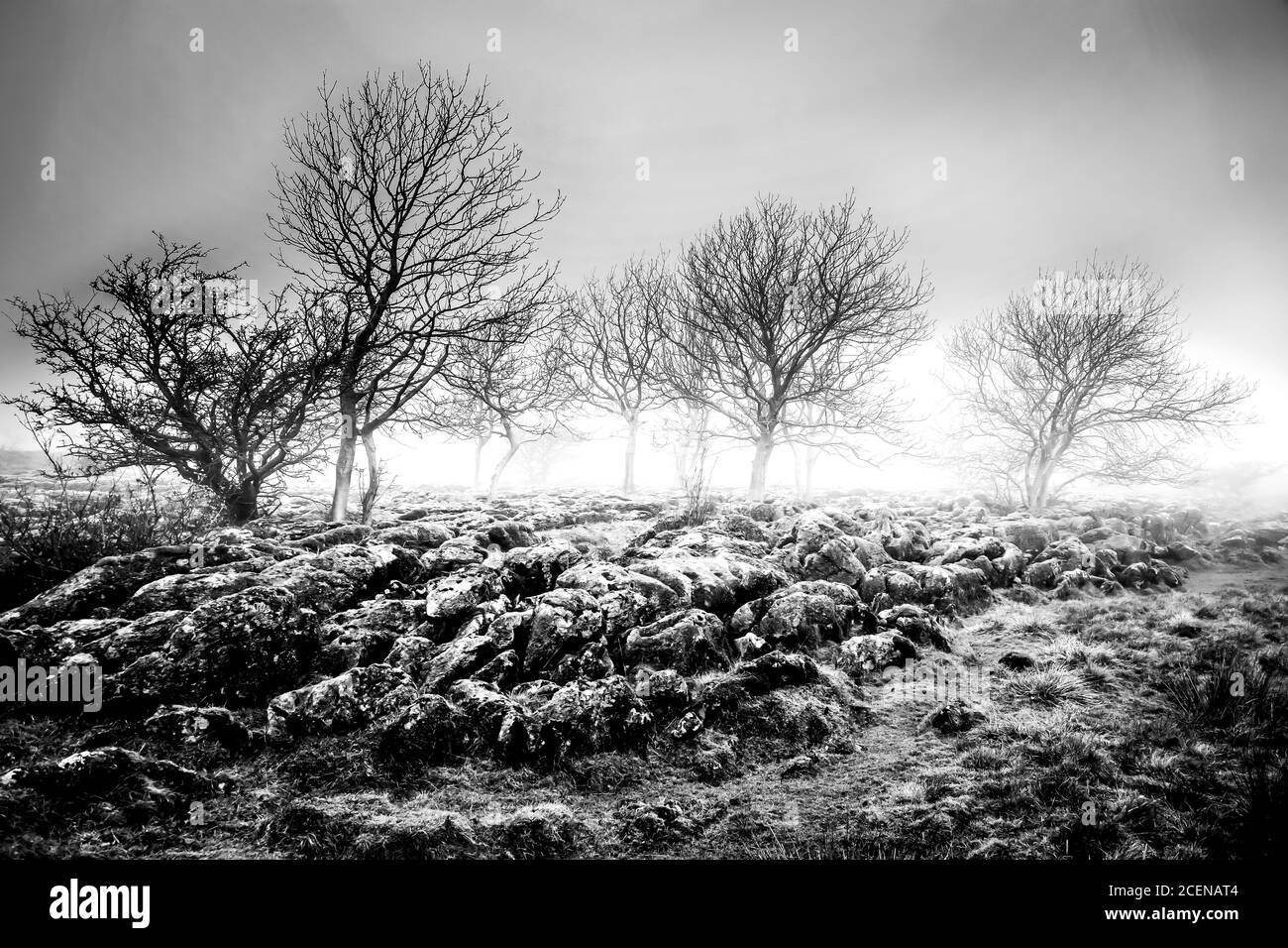 Spring scenic countryside landscape Black and White Stock Photos ...