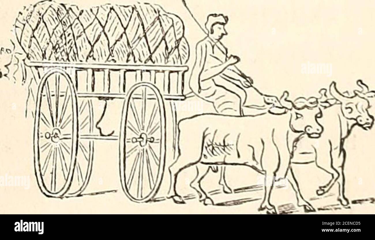 Bronze carts hi-res stock photography and images - Alamy