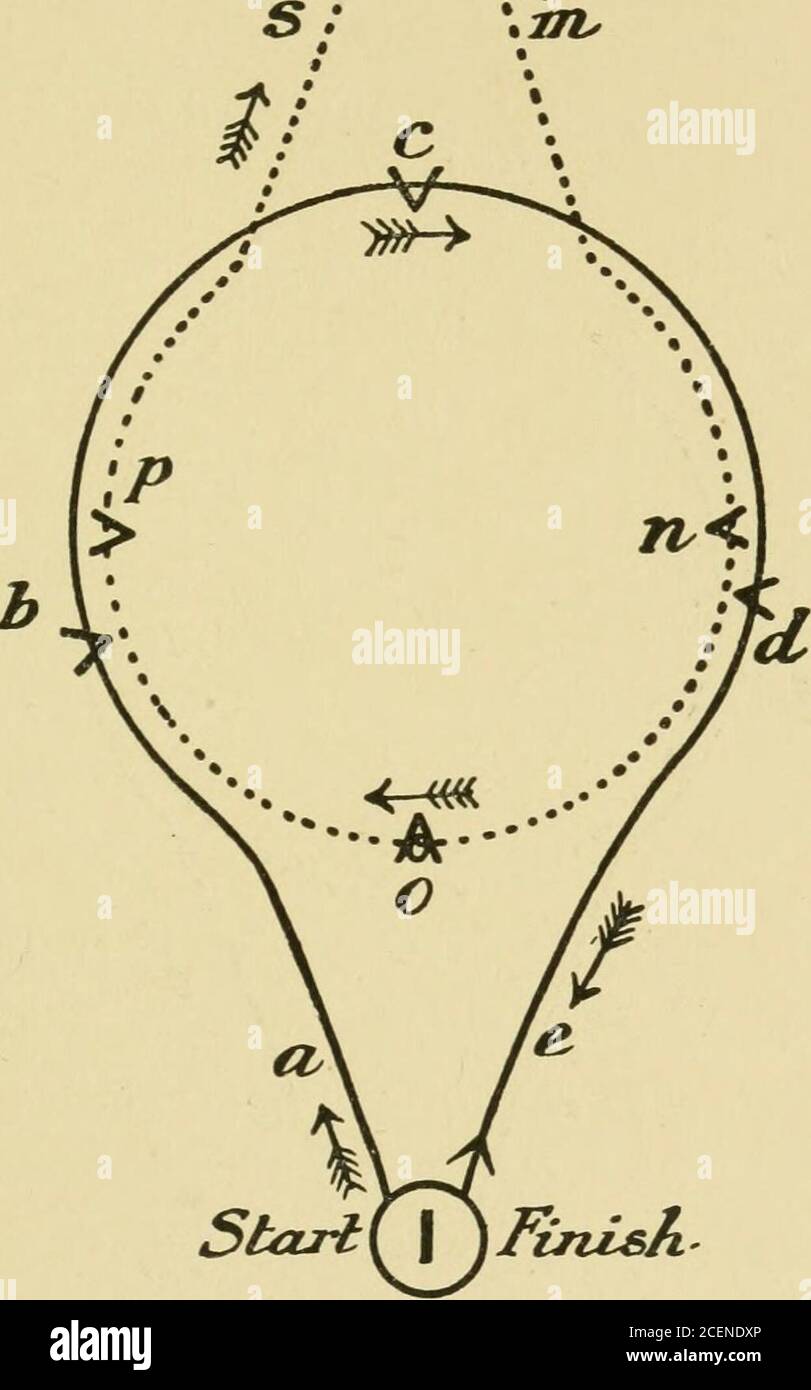 Diagram Of Fall Of Man