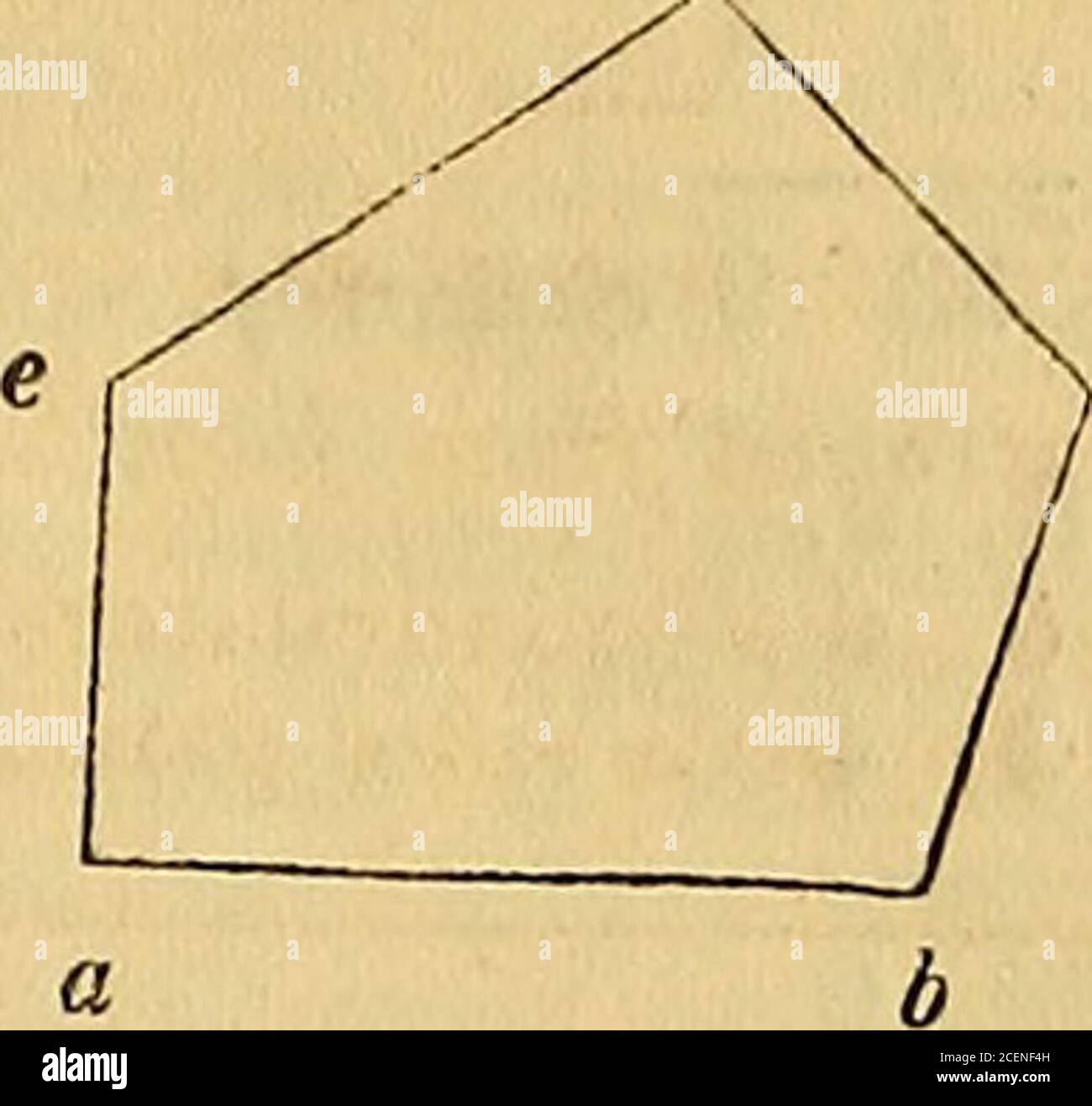 . The Decorator's assistant. Homologovs sides are those sides in ...