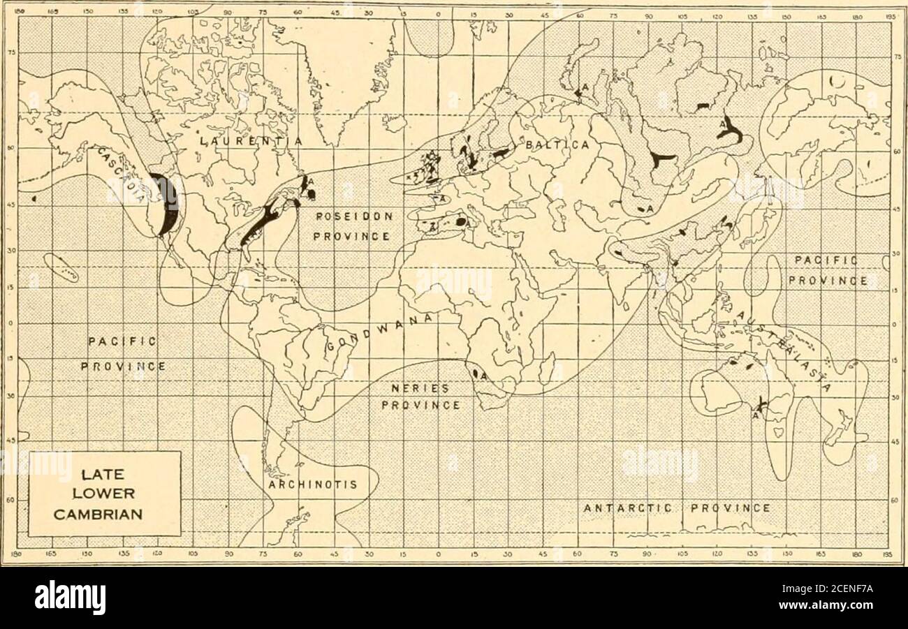 Pre cambrian life forms hi-res stock photography and images - Alamy