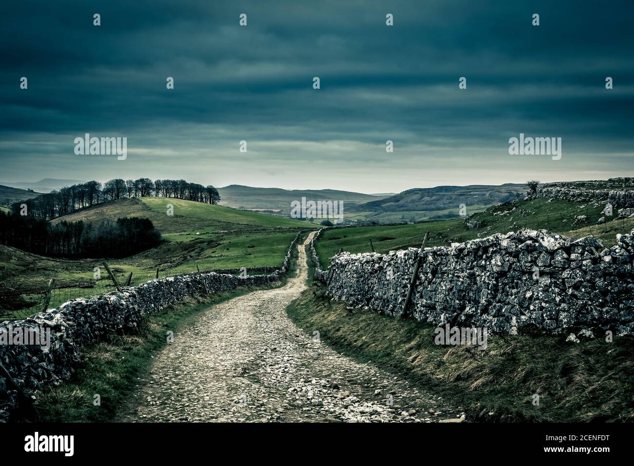 Swaledale spring tree hi-res stock photography and images - Alamy